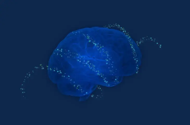 Cisco onthult technologie die netwerkproblemen voorspelt - ITdaily.