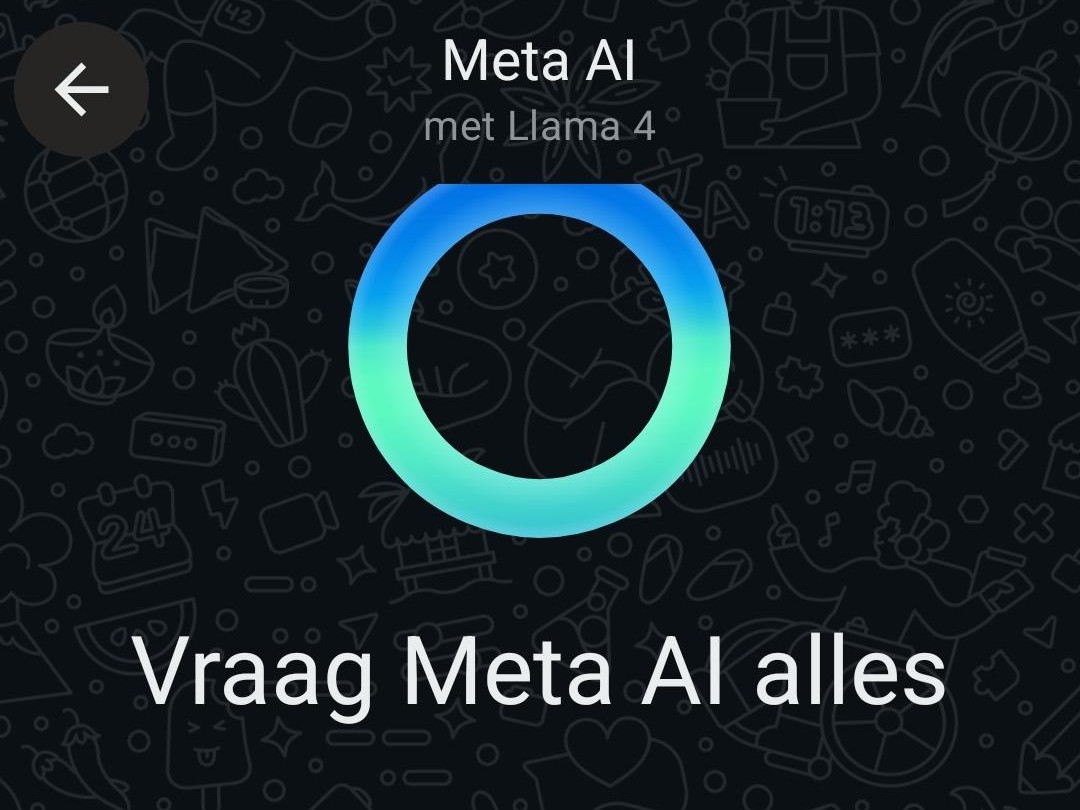 Meta AI verschijnt in WhatsApp, in het Nederlands - ITdaily